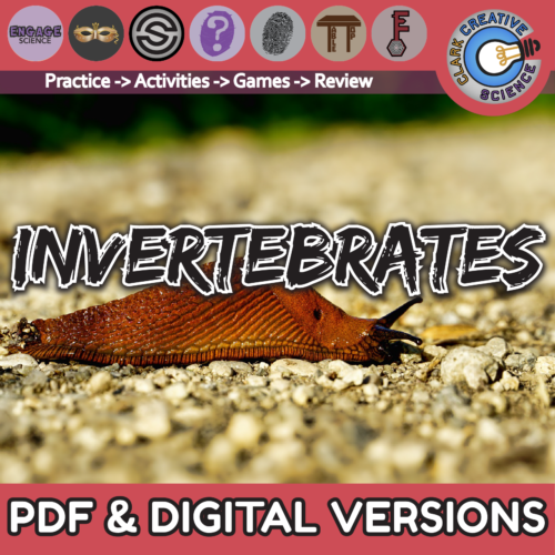 Invertebrates Unit Bundle - Clark Creative Education